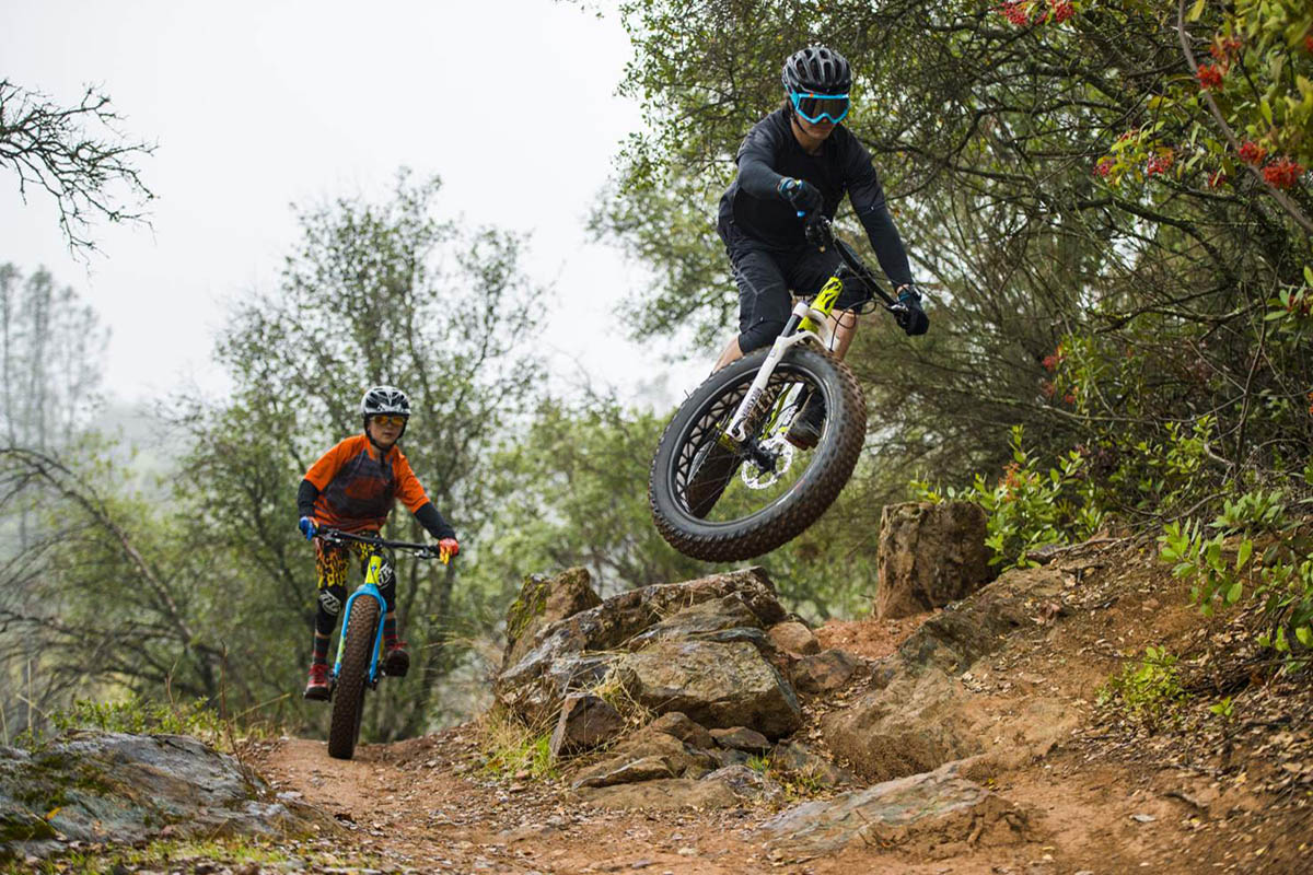 Mountain - Life Cycle Bikes